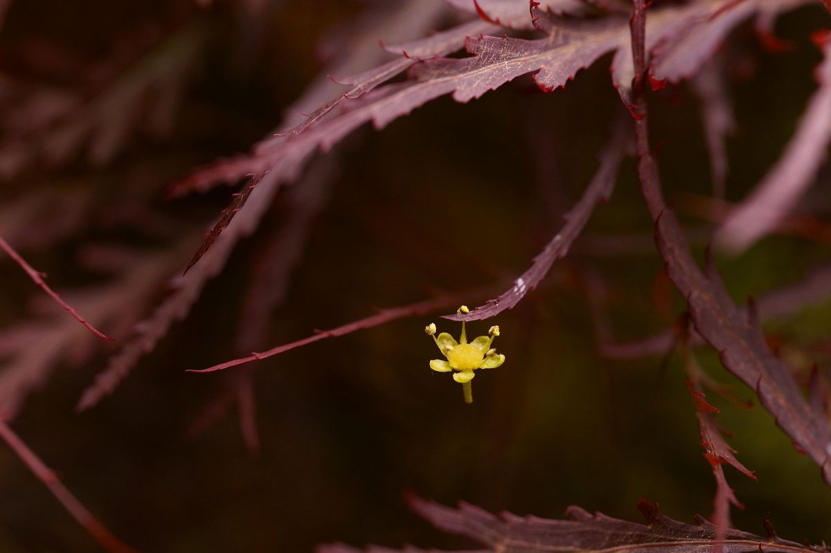 Hang On to Your Love | GANREF