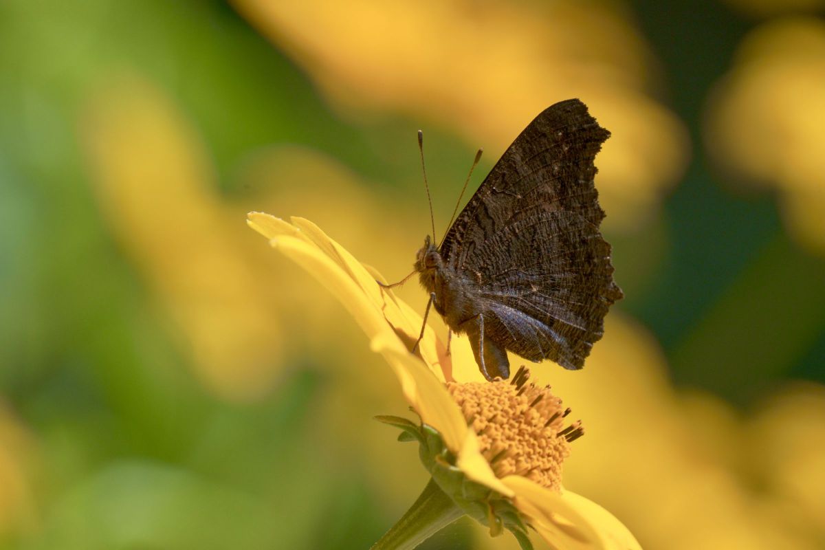 心を閉ざす | GANREF