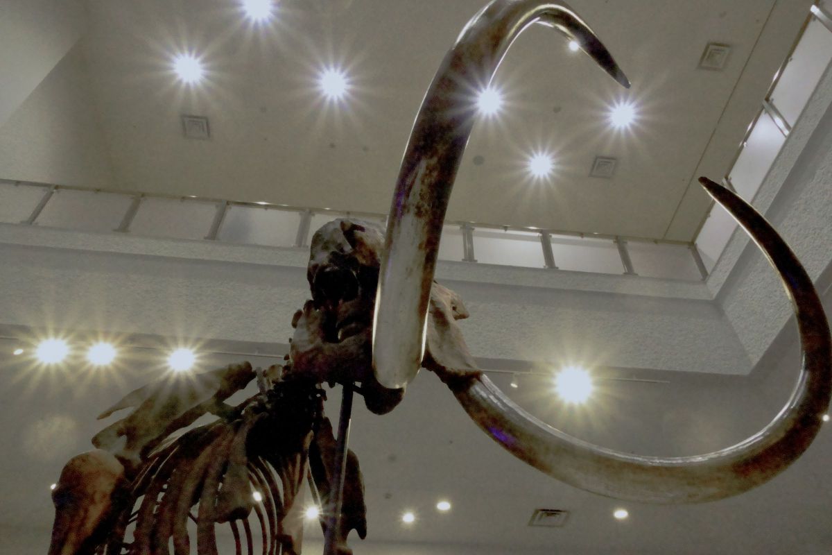 日々録 004 | GANREF