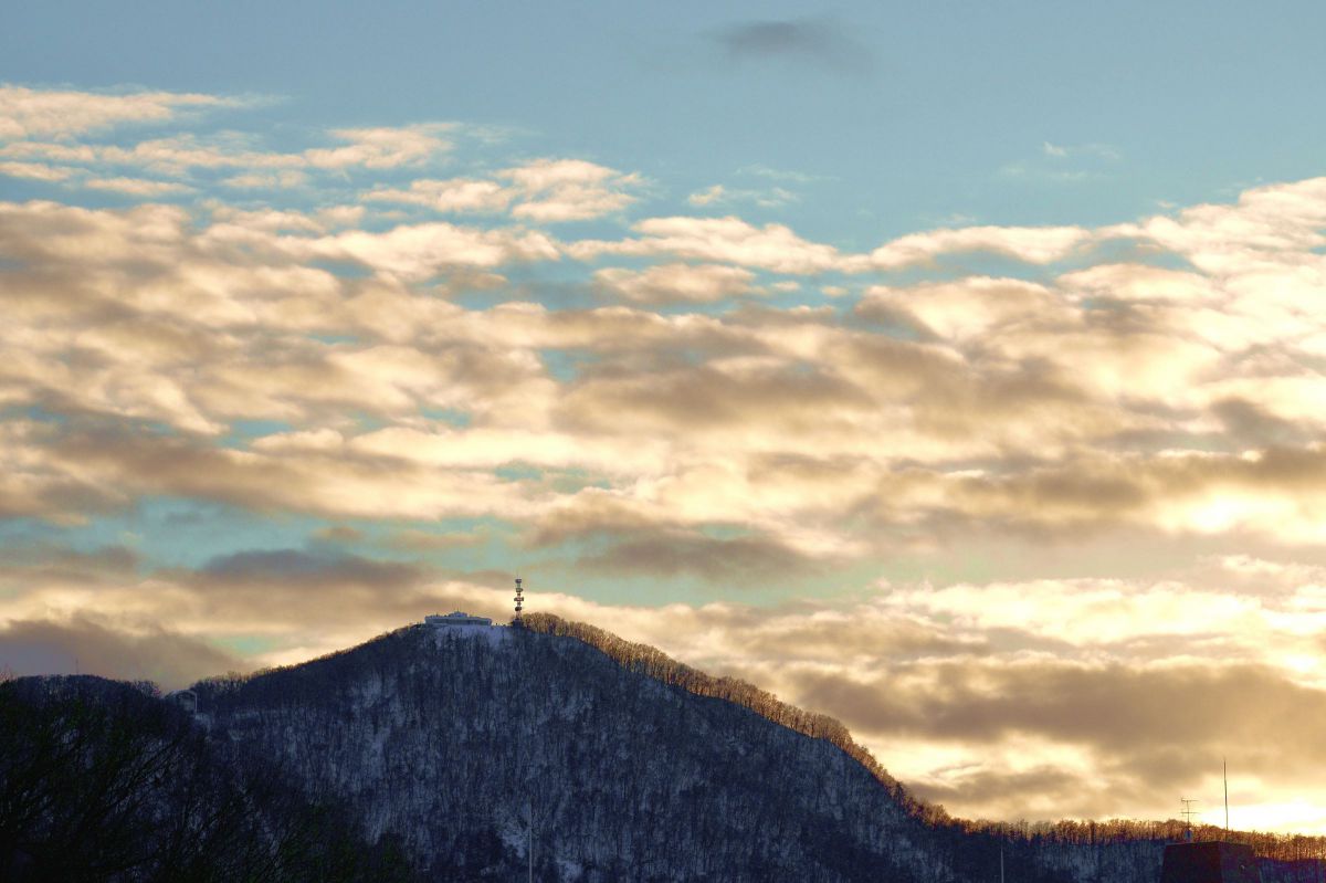 perspective | GANREF