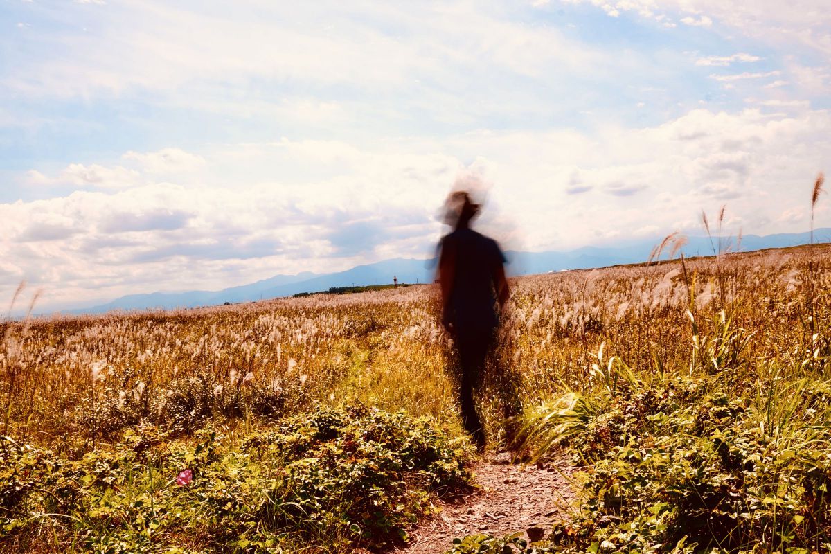 To the Lighthouse | GANREF