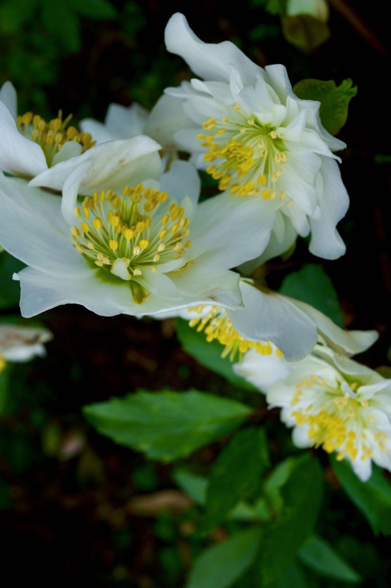 Vertical Composition 3 | GANREF