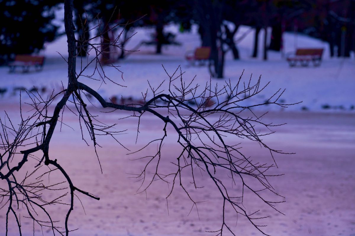 無人サンセット | GANREF