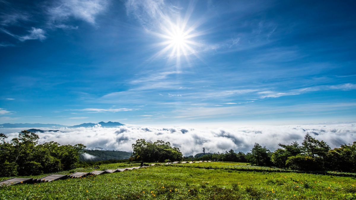 雲の上の世界 | GANREF