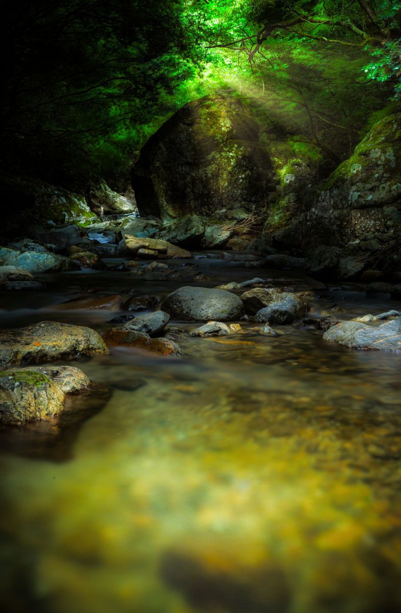 荘厳の岩 | GANREF