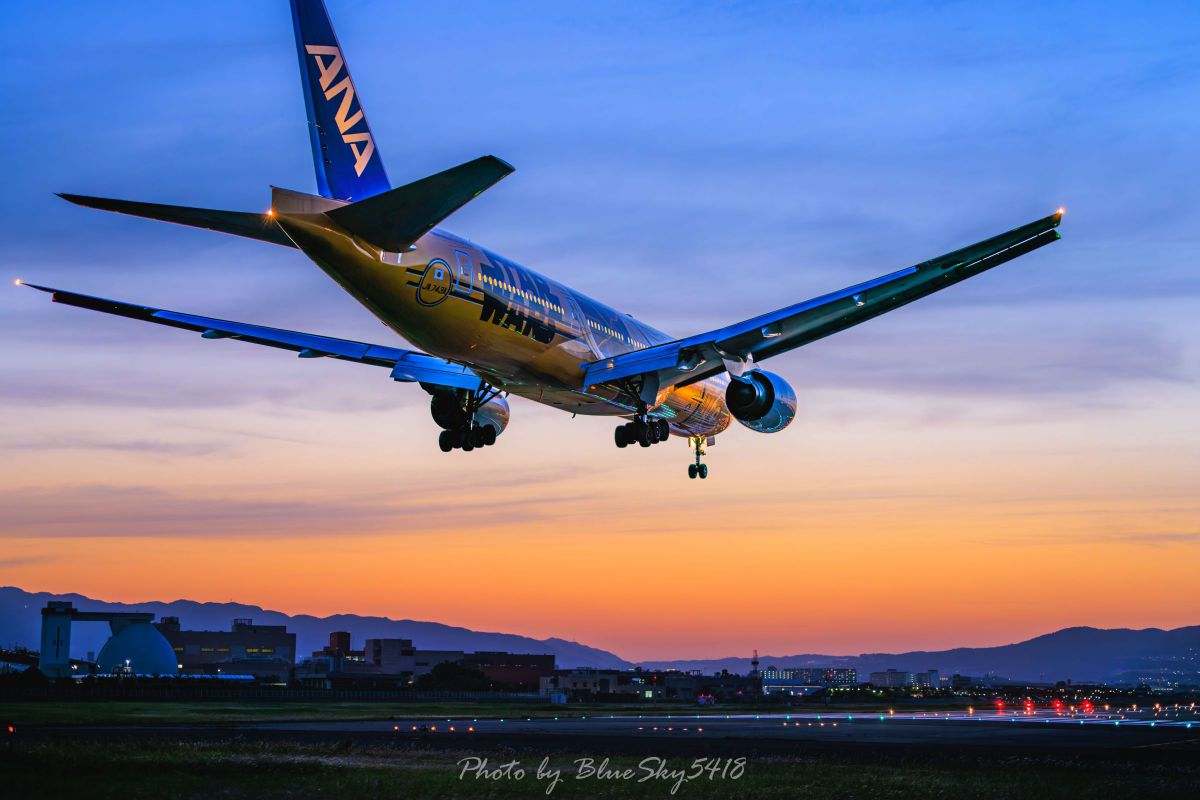 夕焼けにSTAR WARS! | GANREF