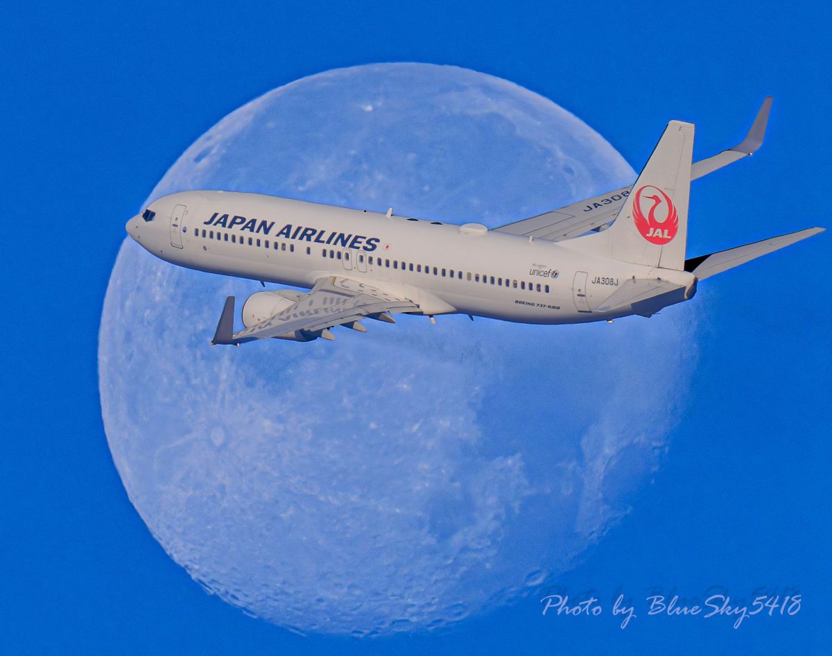 朝の光に輝いて with the waning cold moon | GANREF