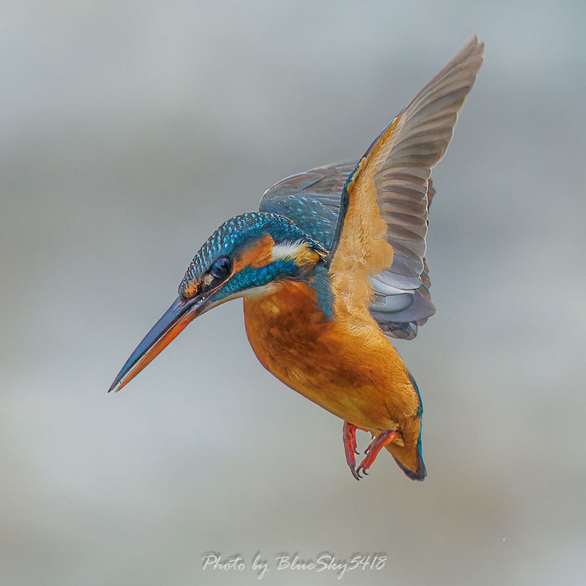 ホバリングからLock on！ | GANREF