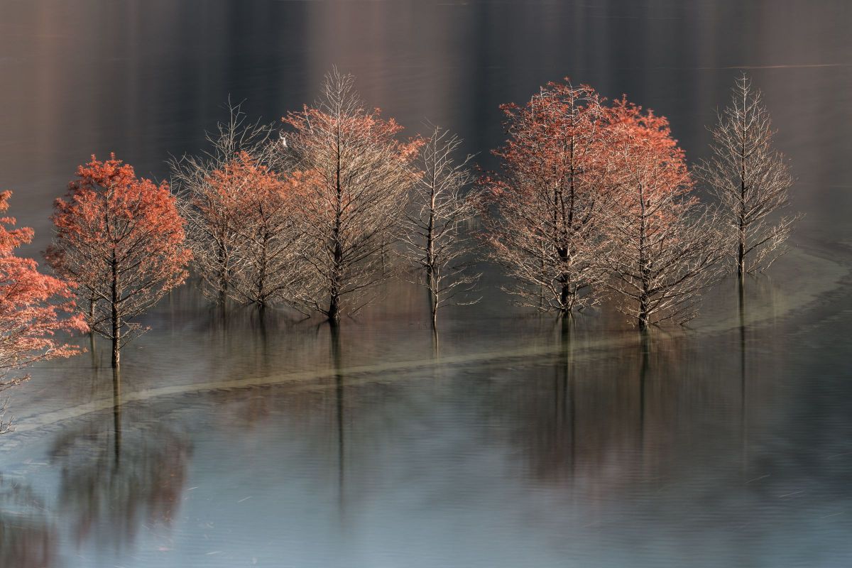 水中劇場 | GANREF