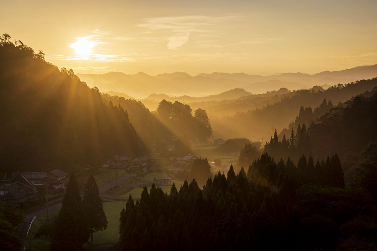 朝霧色づく | GANREF