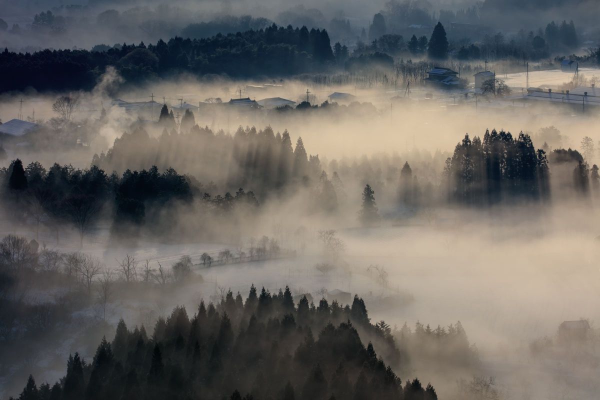 冬の吐息 | GANREF