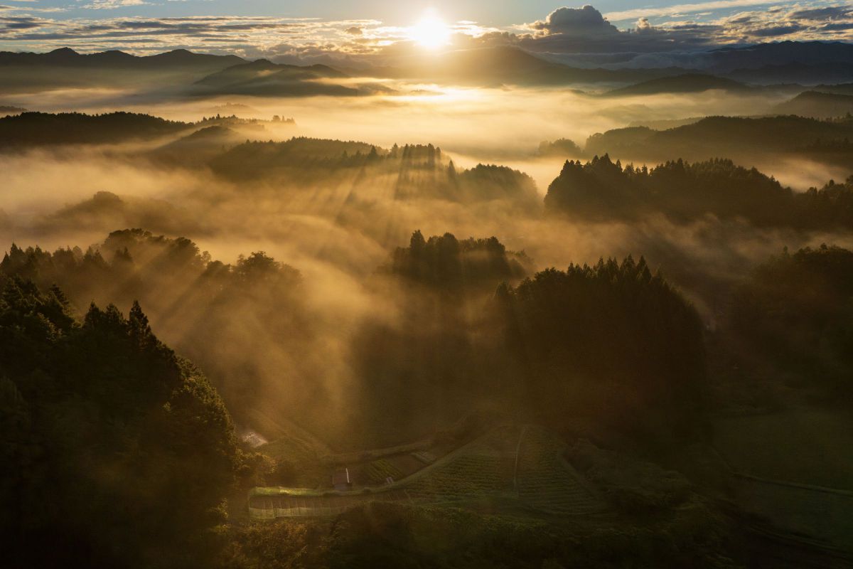 秋のパノラマ | GANREF