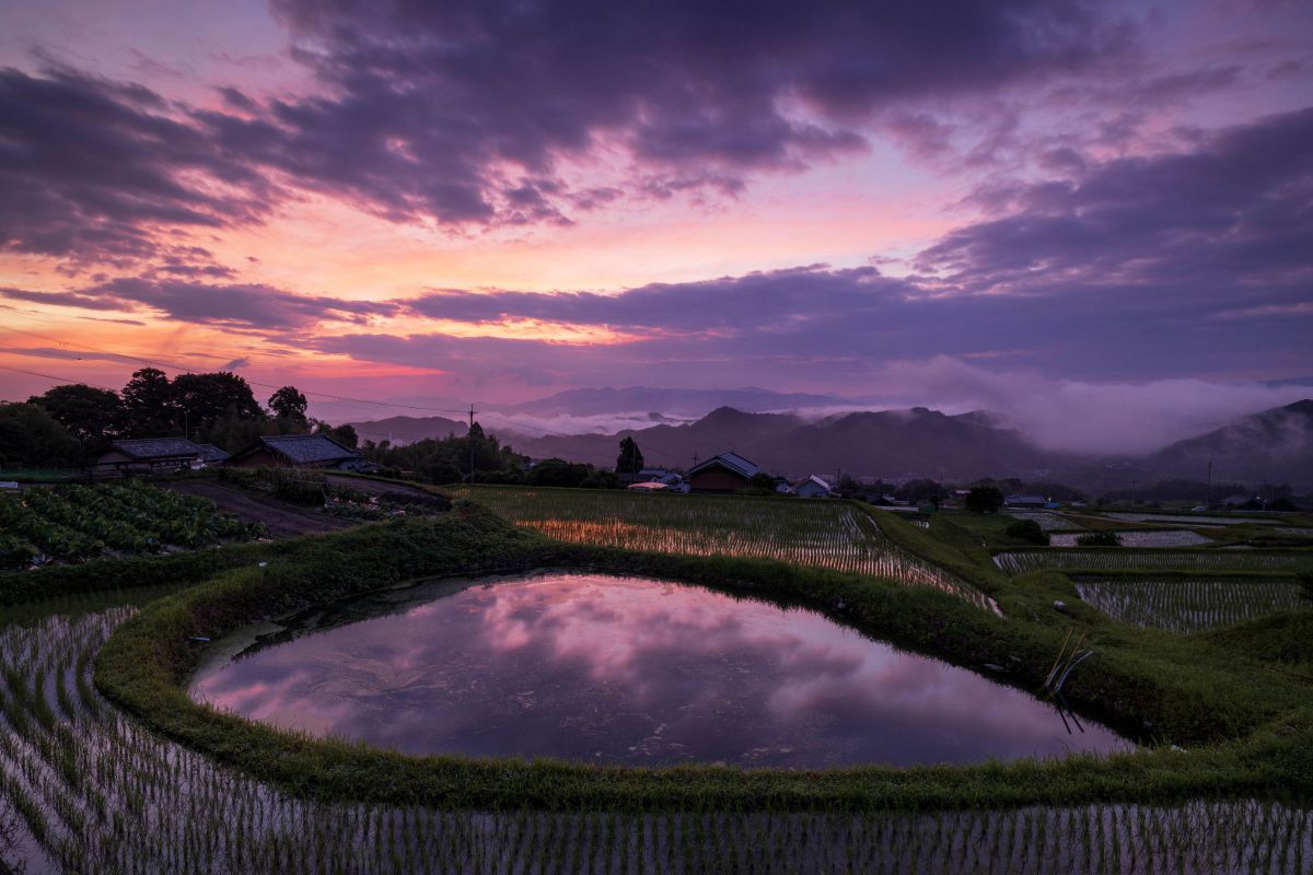 空を映す | GANREF