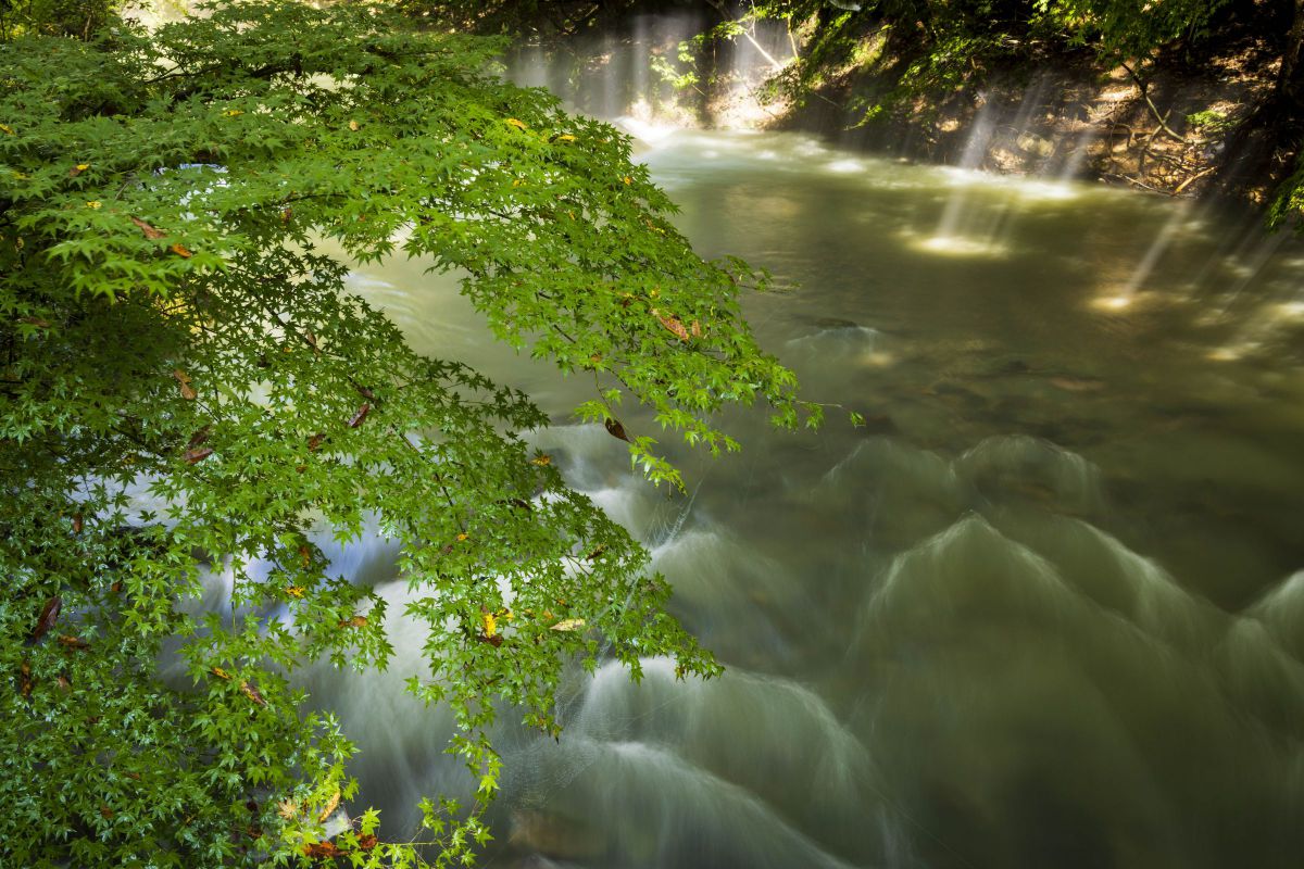 豪雨後晴れ | GANREF