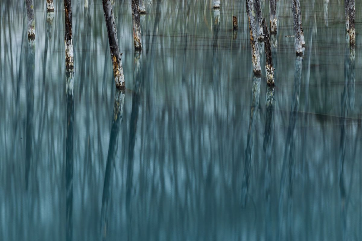 蒼の旋律 | GANREF