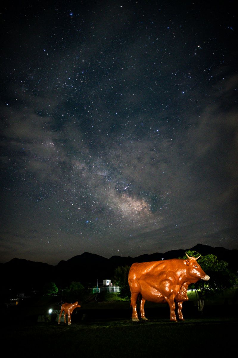 夜の散歩 | GANREF