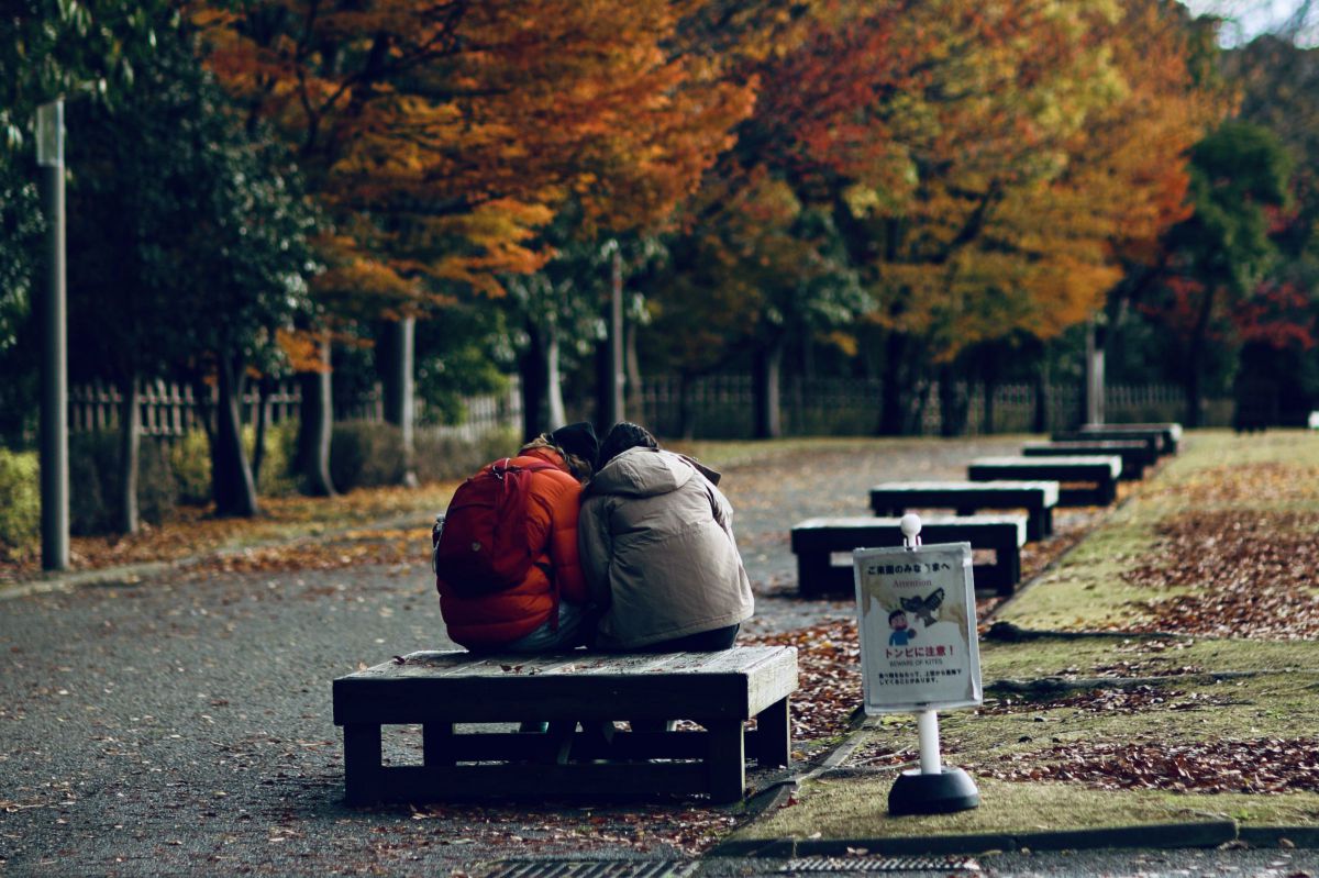 Slice of Life | GANREF