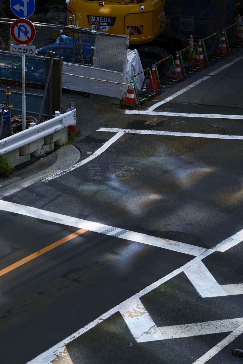 Reflection Trajectory | GANREF