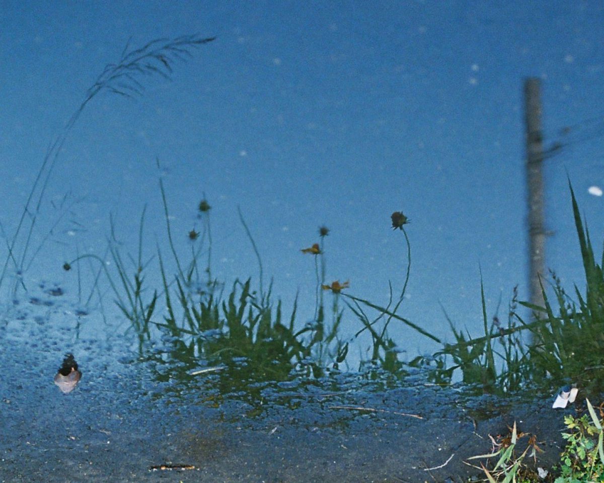 The Twilight Zone | GANREF