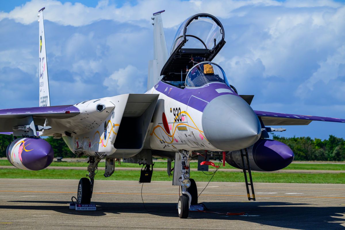 F15 306th Tactical Fighter Squadron | GANREF