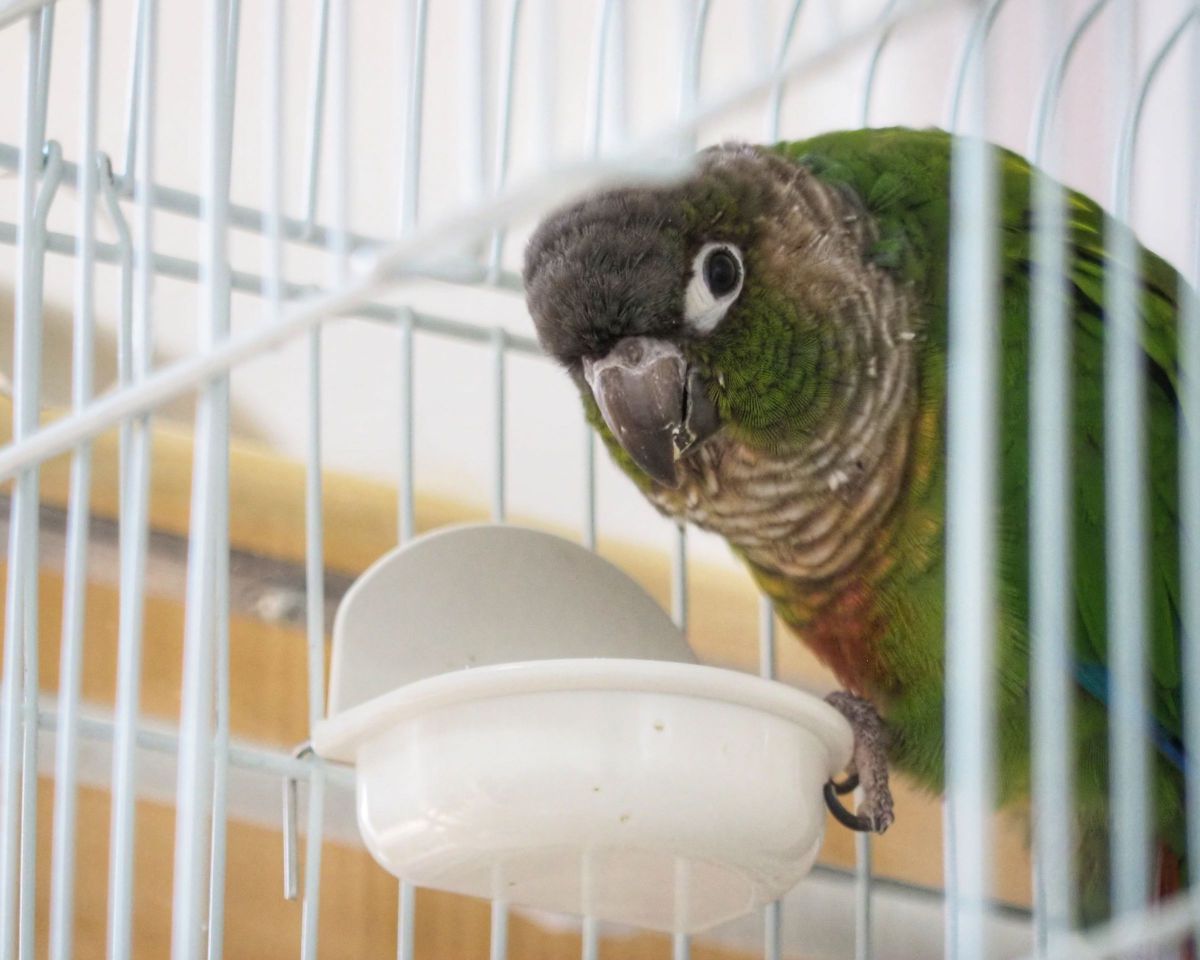 隠れて食べる飯は美味 | GANREF