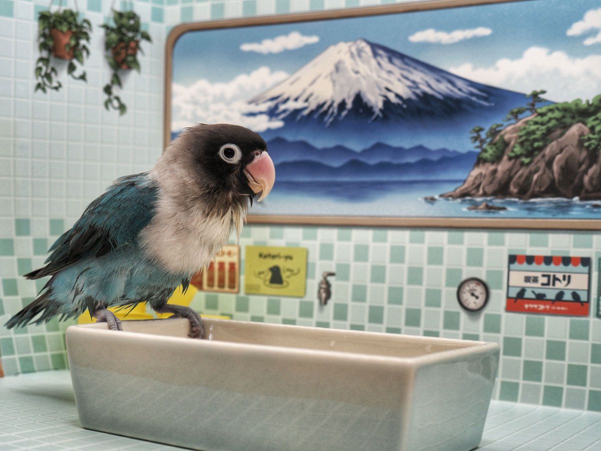 ととのったぞ〜 | GANREF