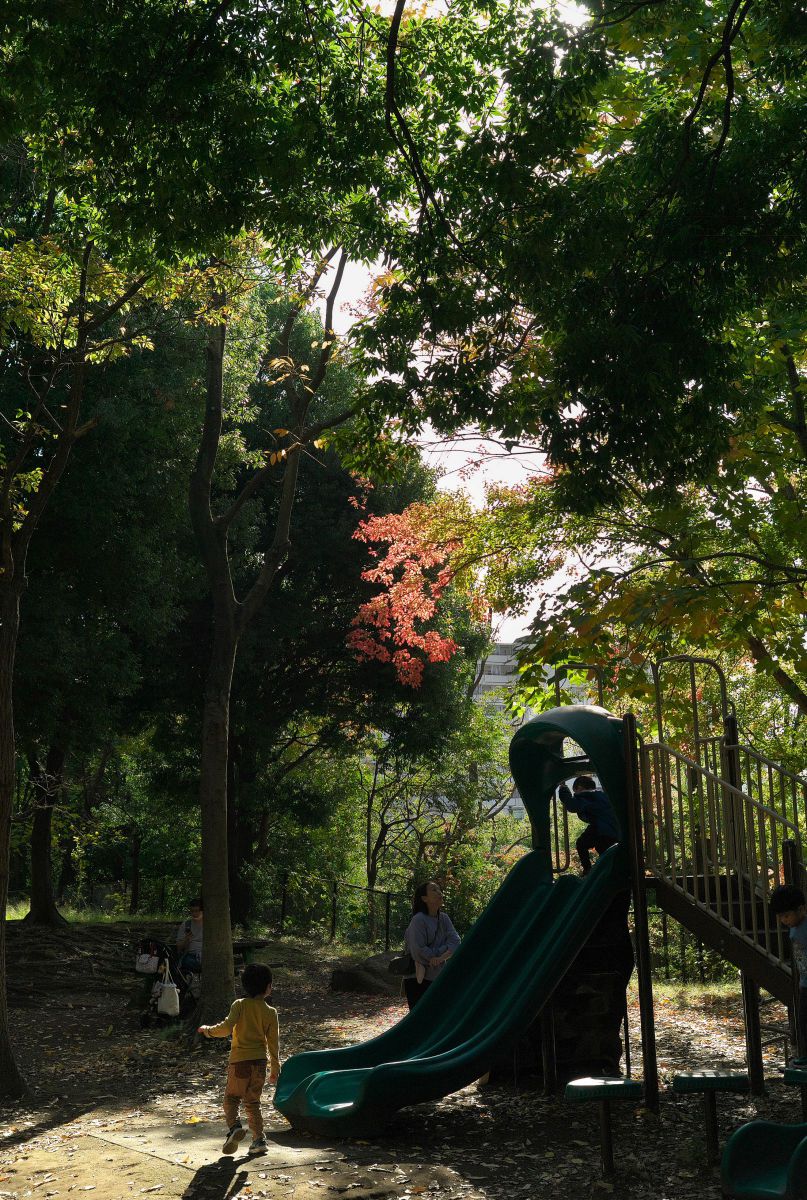 まなざし | GANREF