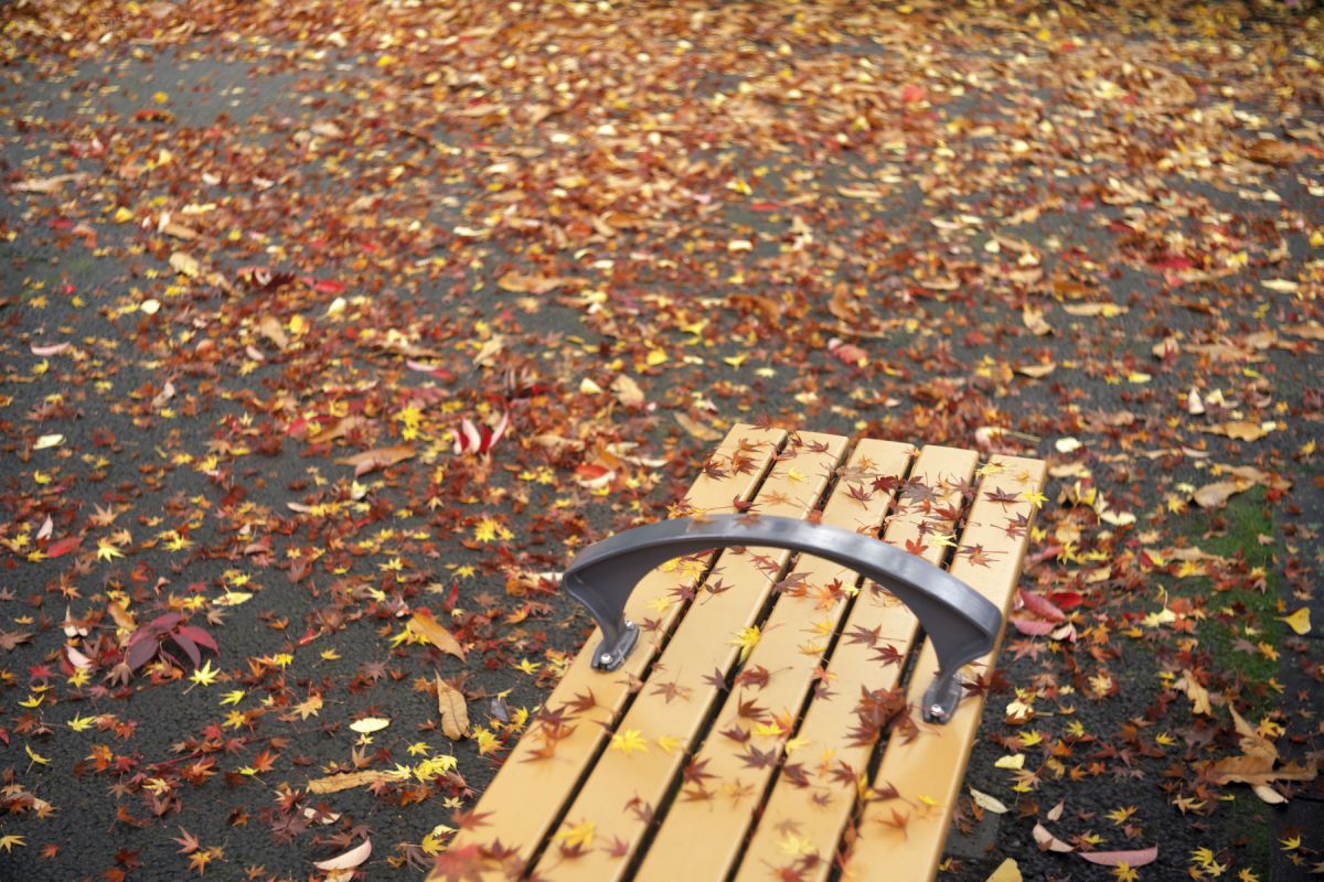 座れない | GANREF