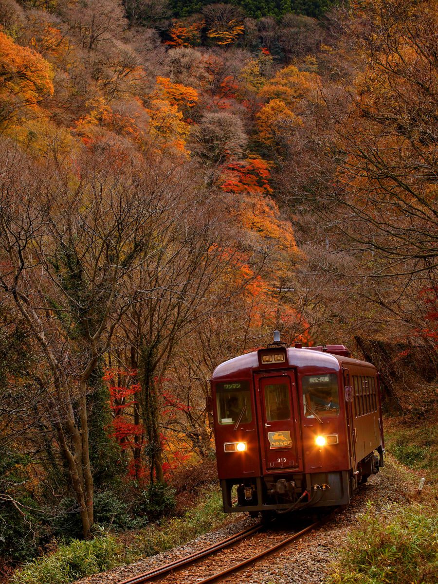 あかがね色の思い出_紅葉の渓谷を行く 2012 | GANREF