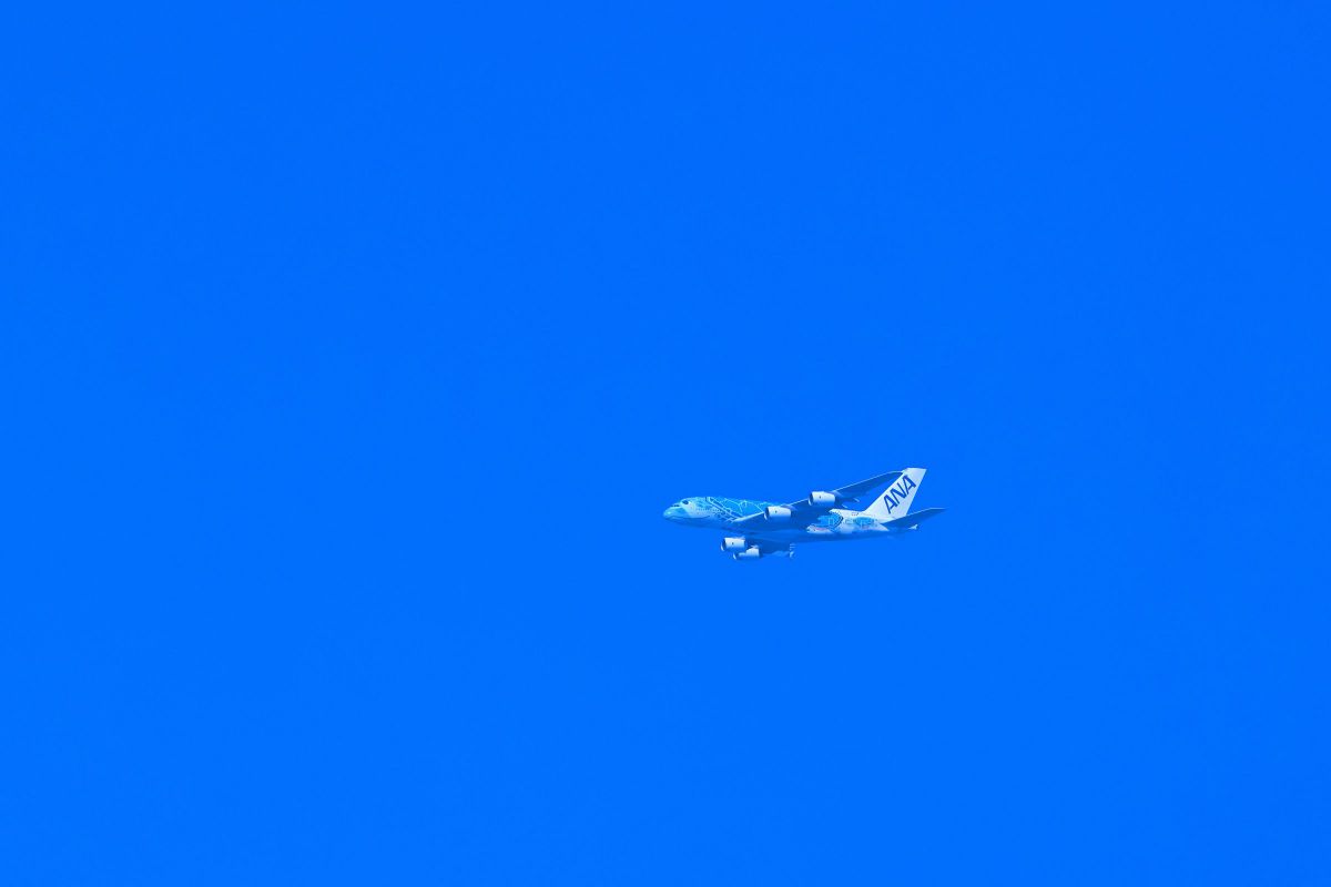 Flying in the Deep Sea | GANREF