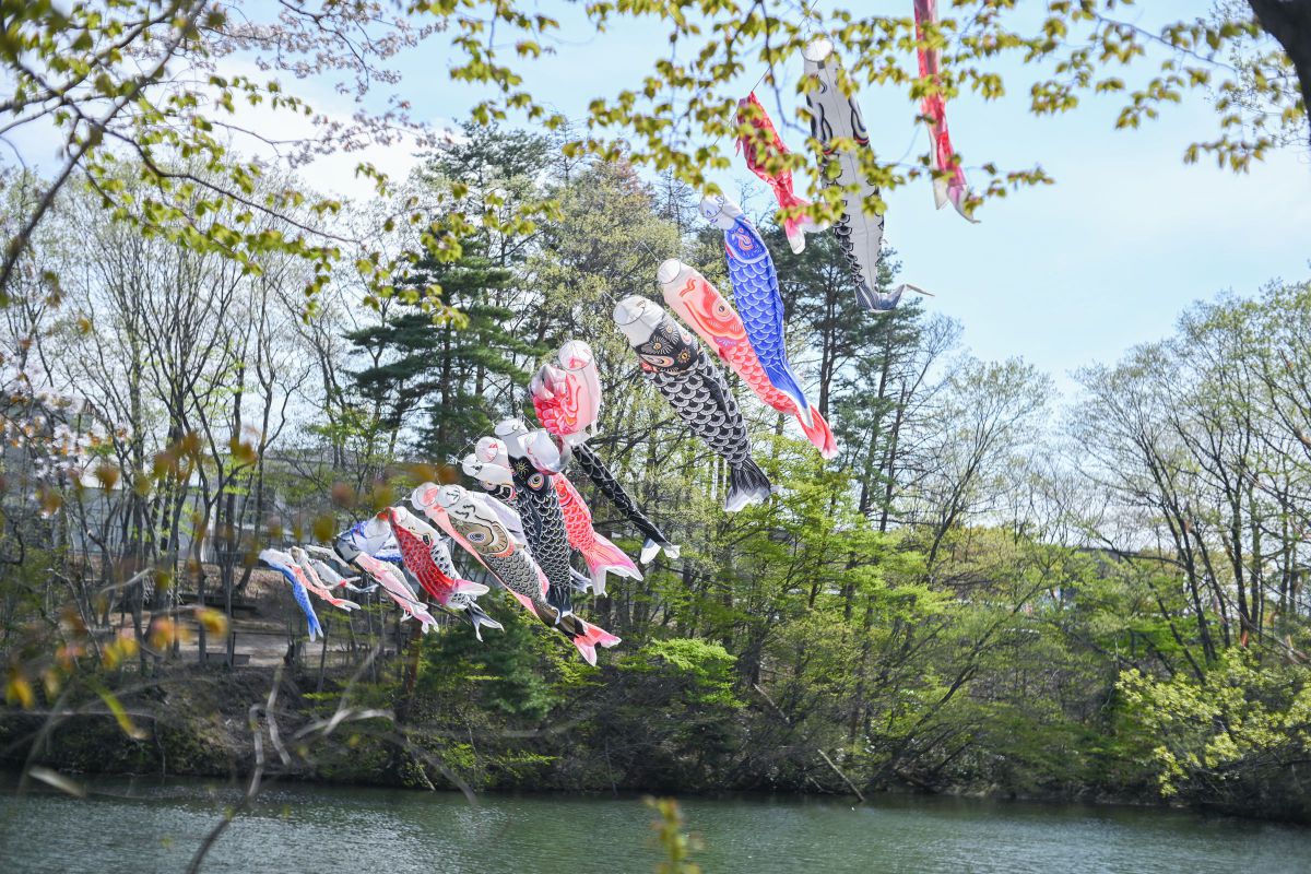 ＊2024/04/20 こいのぼり・・・(^^♪ | GANREF