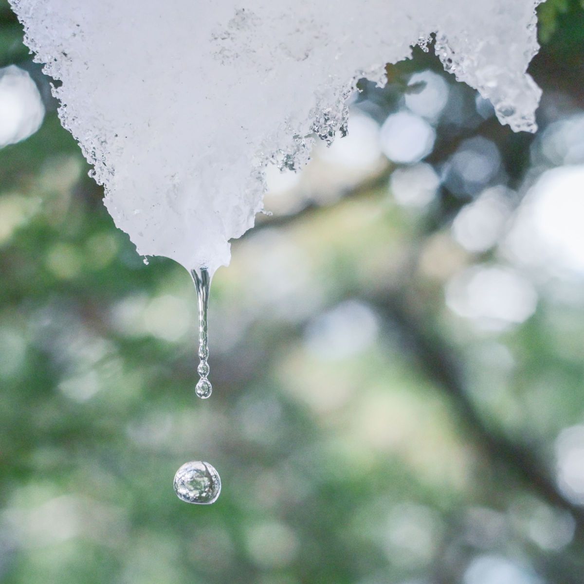 2025/02/18 また寒波・・・ | GANREF