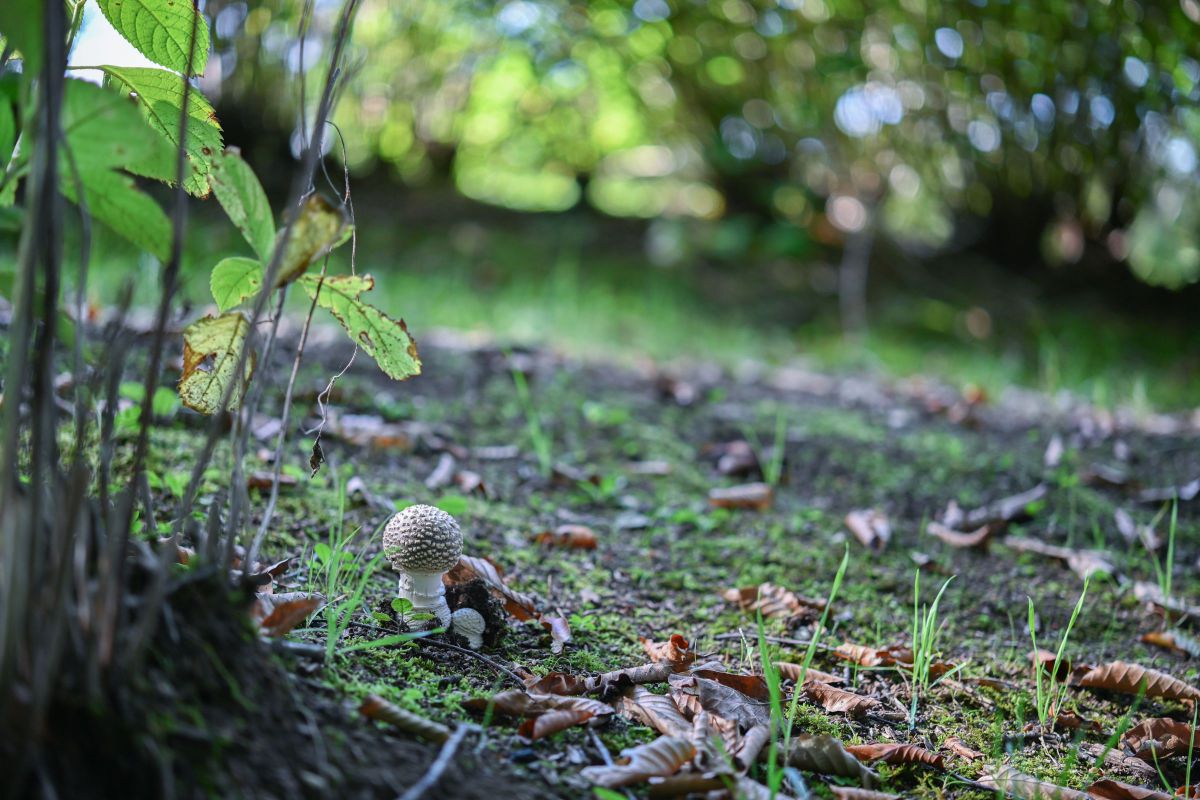 ＊2024/10/02 ママぁ・・・♡ | GANREF