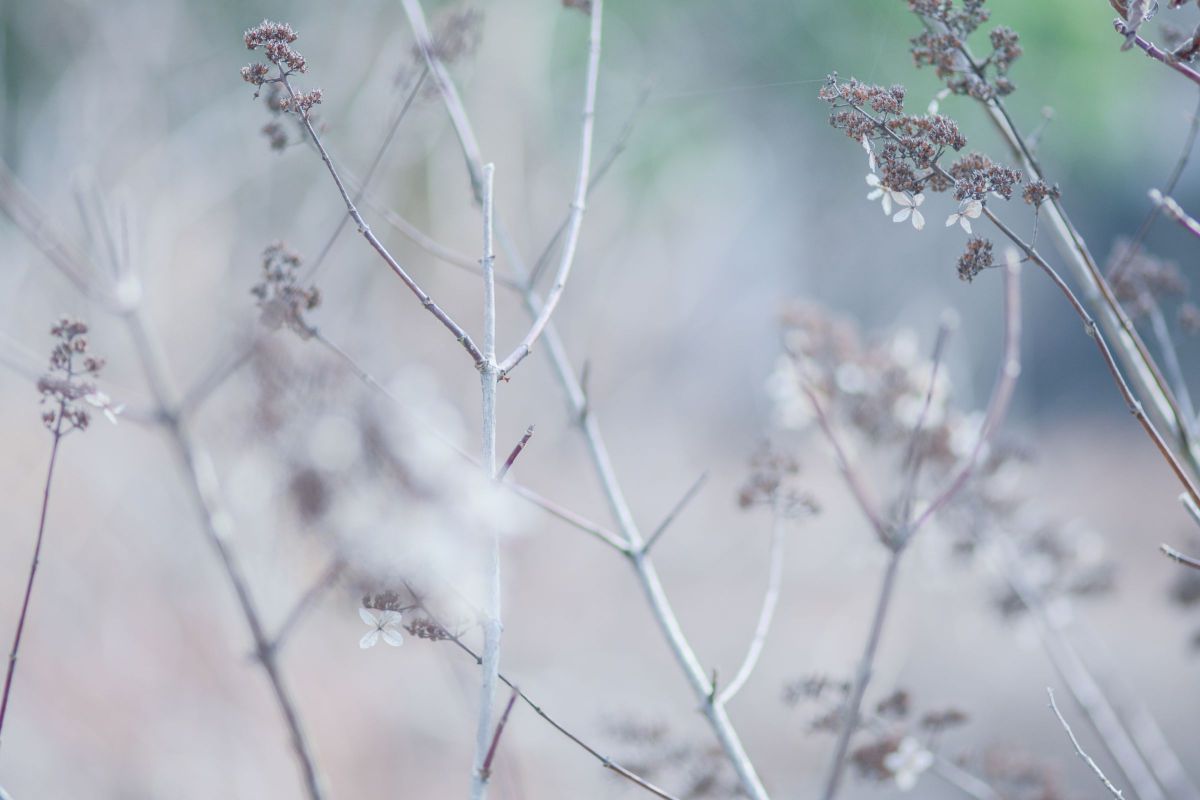 ＊2025/02/28 しとやかな恋人・・・♡ | GANREF