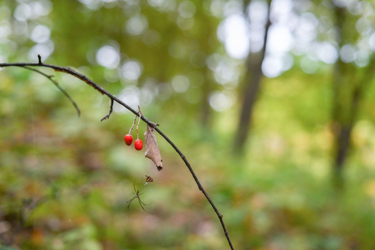 ＊2023/10/28 ひとやすみ・・・(^^♪ | GANREF