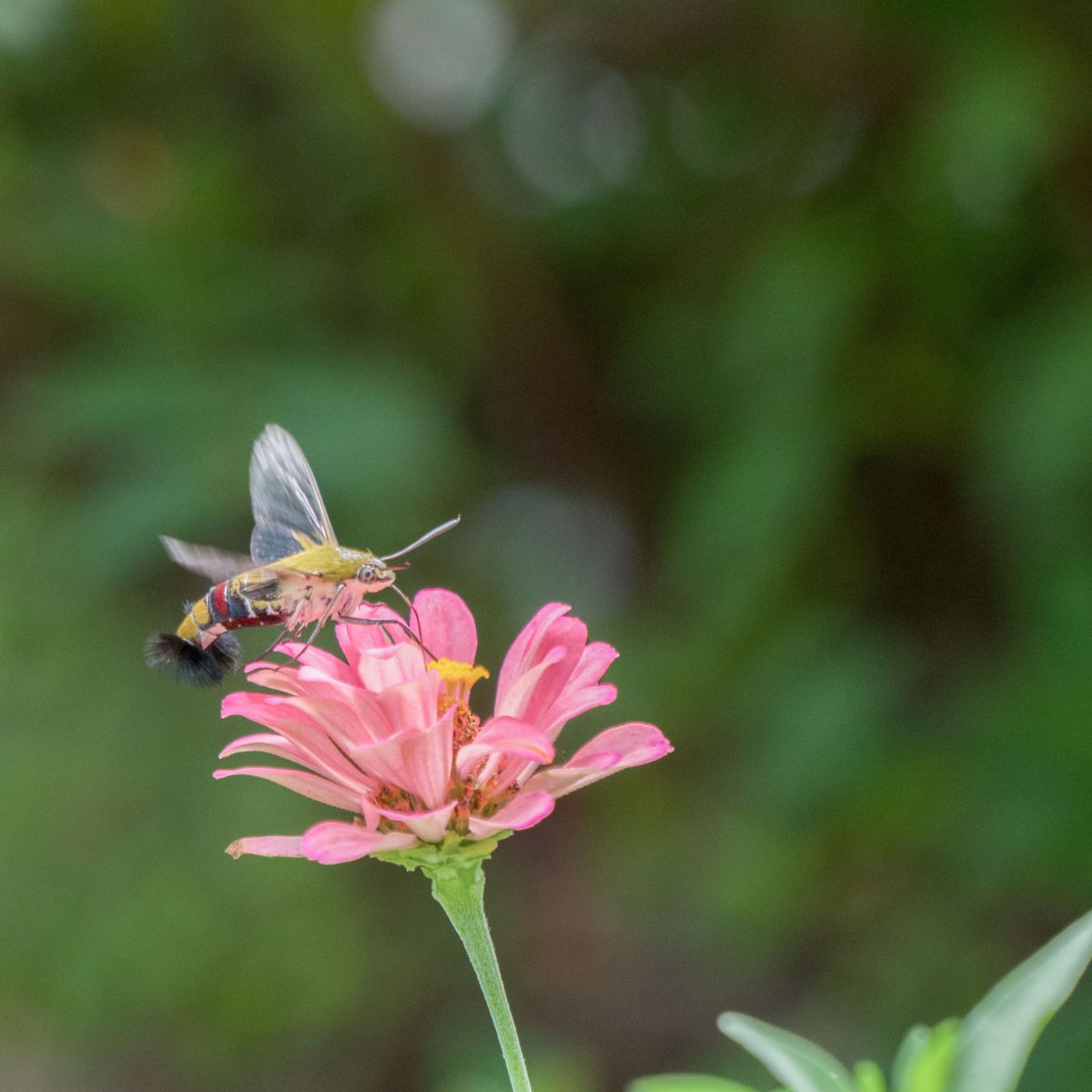 ＊2023/08/24 ようこそ・・・(^^♪ | GANREF