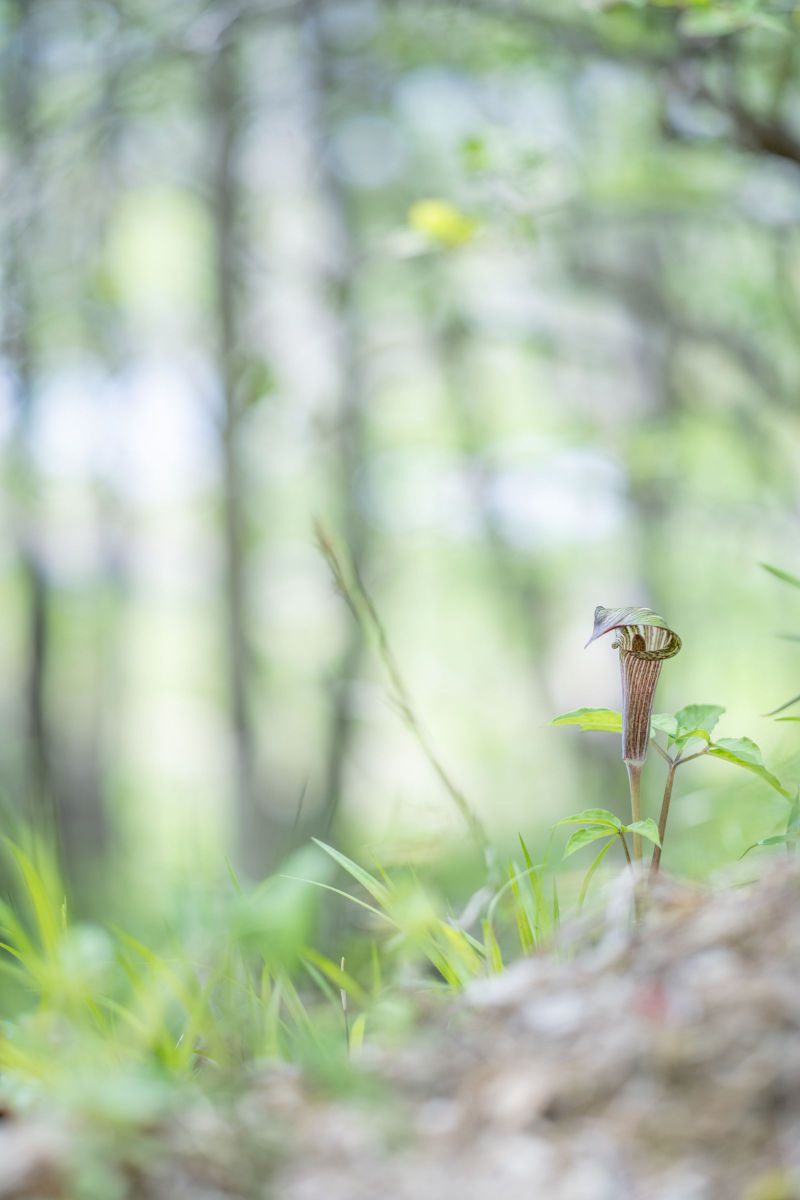 ＊2025/05/05 紋次郎さ～ん・・・♡ | GANREF