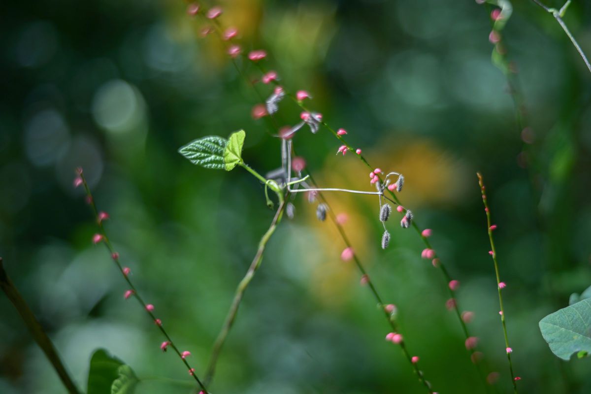 ＊2024/09/17 Autumn Objet・・・♡ | GANREF