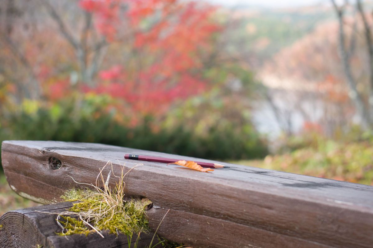 ＊2022/11/11 Autumn colors・・・ | GANREF