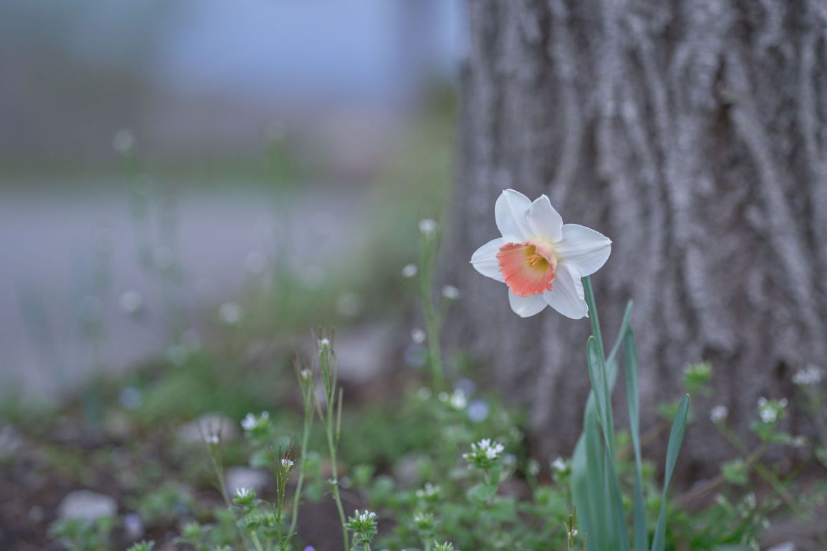 ＊2025/04/18 ひとり・・・♡ | GANREF