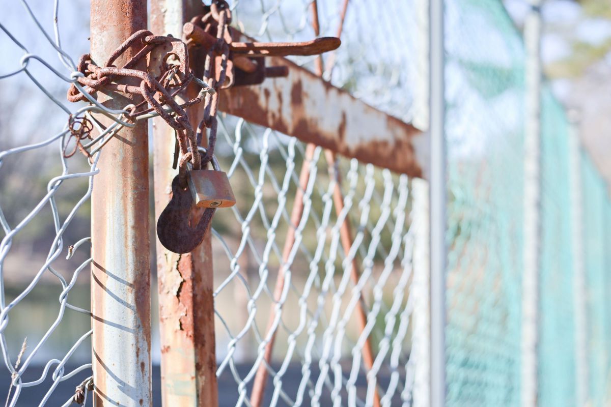 ＊2025/02/15 ♥ fence ♥ | GANREF