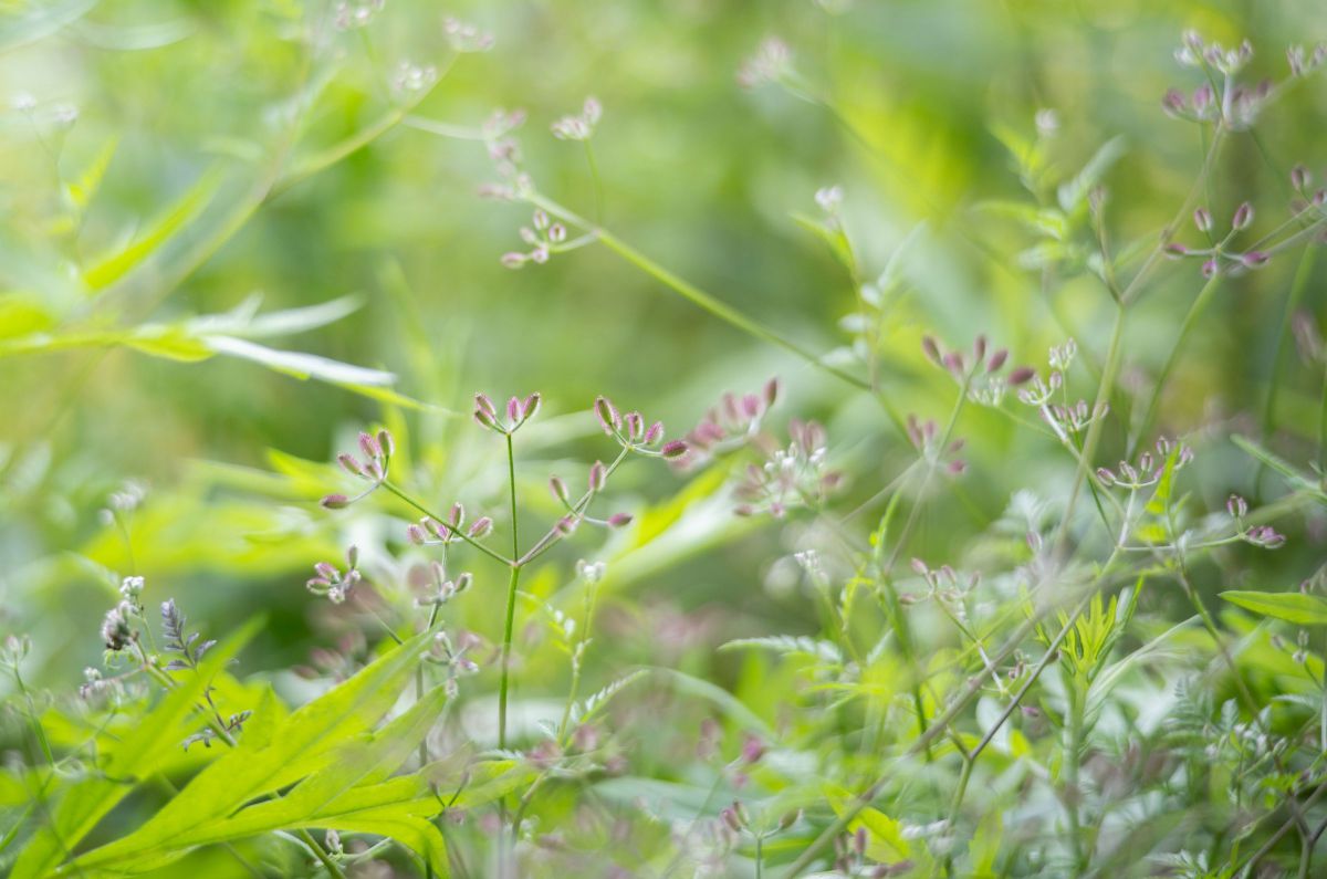 ＊2025/05/29 人懐っこい・・・♡ | GANREF