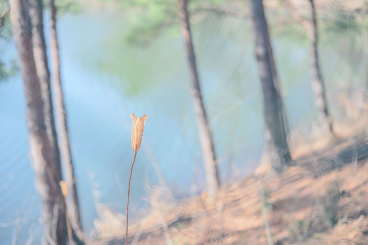 ＊2025/03/01 ♥ fence ♥ | GANREF