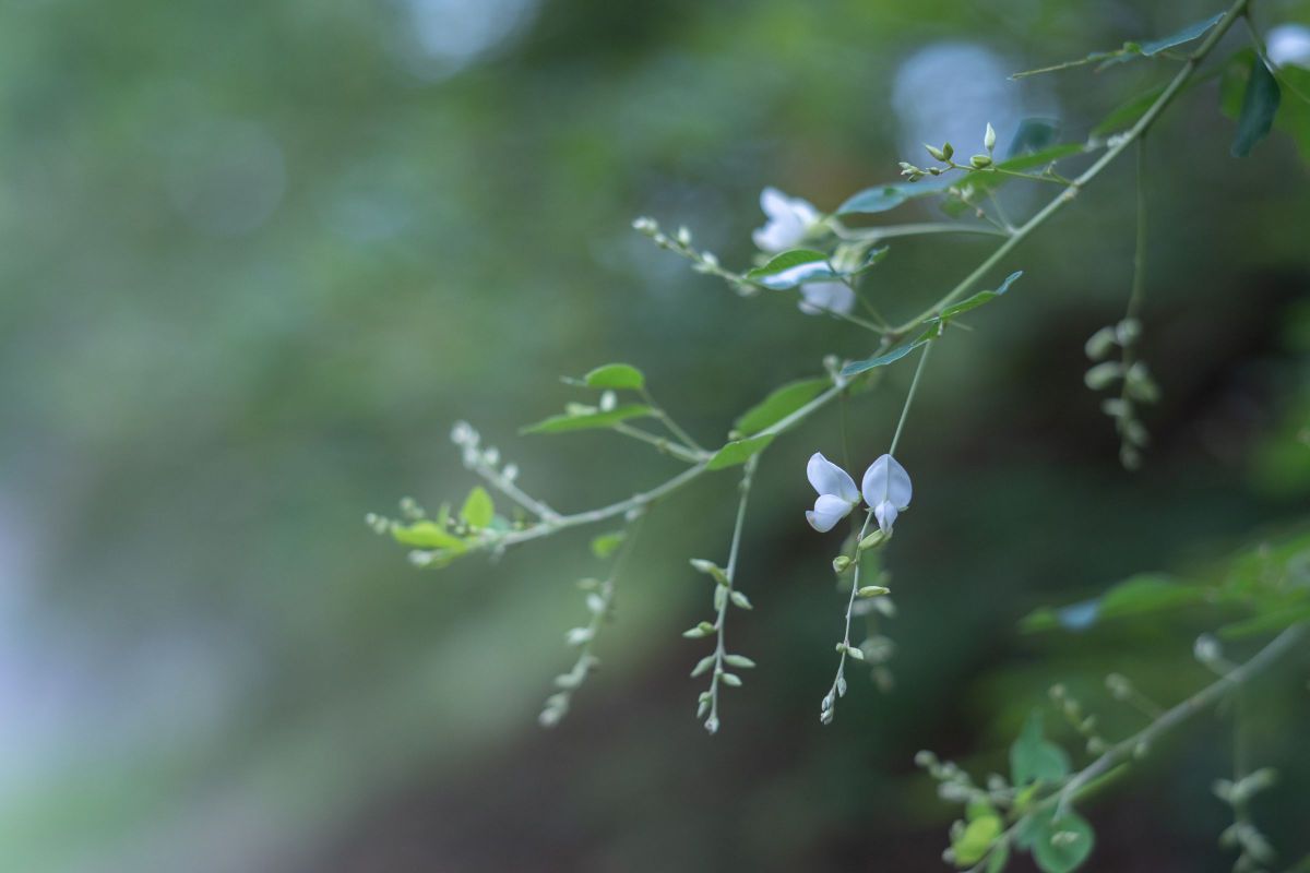 ＊2025/09/10 無邪気・・・♡ | GANREF