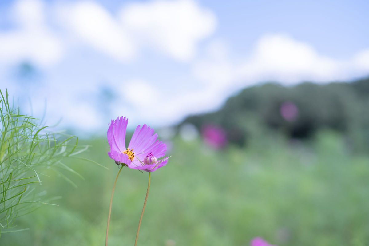 ＊2025/08/28 準備中・・・♡ | GANREF