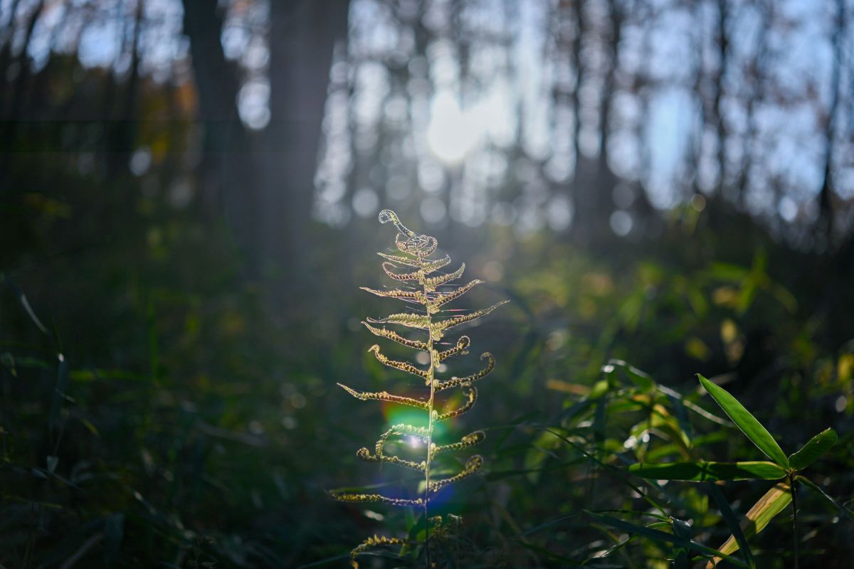 ＊2024/11/25 Dancing Queen・・・♡ | GANREF