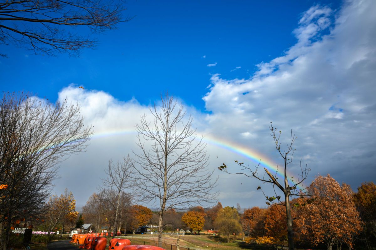 ＊2023/11/28 虹・・・♡ | GANREF