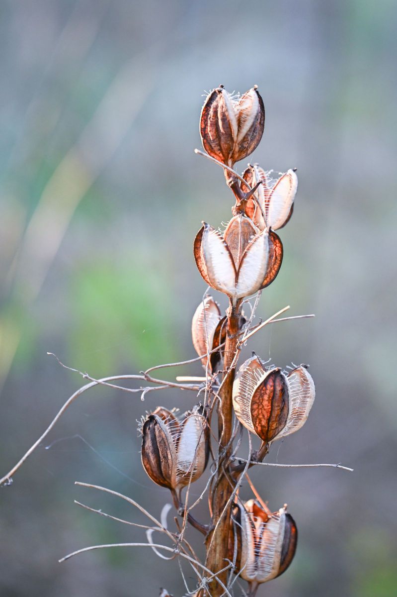 ＊2023/11/21 威厳・・・♡ | GANREF