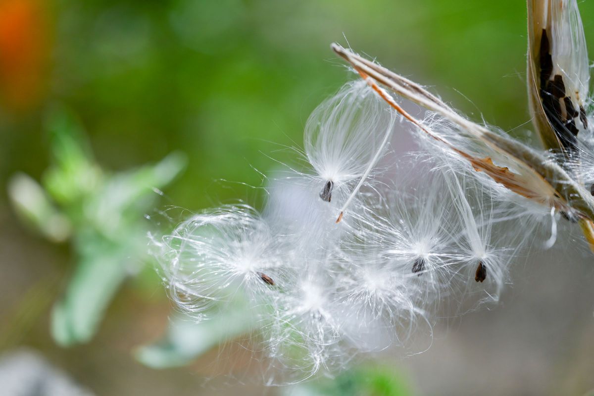 ＊2023/08/21 弾けた～♡ | GANREF