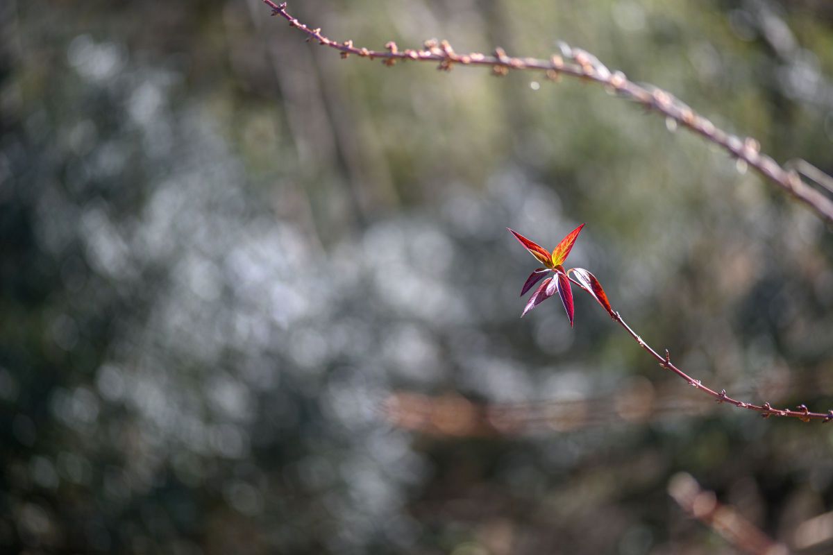 ＊2024/02/28 楽しい語らい・・・♡ | GANREF